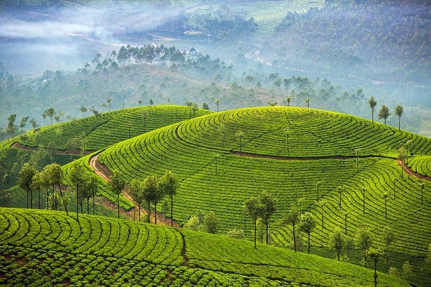Southern India Sojourn | Live The Journey