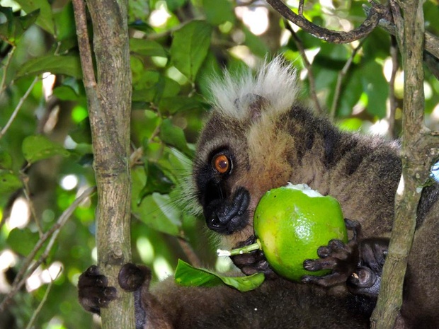 Dave Pepler se brief uit Madagaskar op RSG se Tjailatyd | Live The Journey