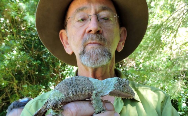 Dave Pepler se brief uit Madagaskar op RSG se Tjailatyd | Live The Journey